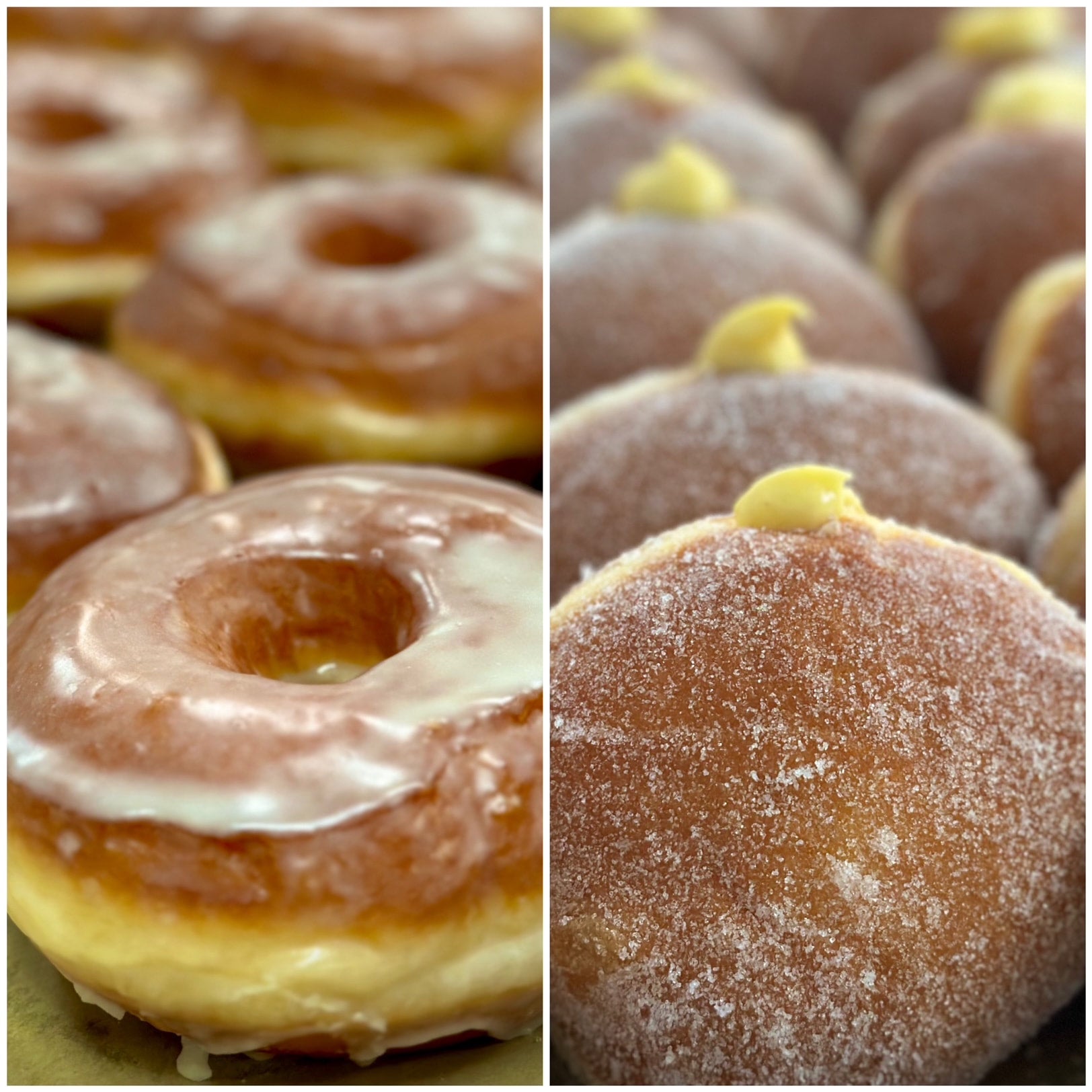 THURSDAY Lemon Glazed Ring & Passion Curd Berliner Combo Pack 5/30 PICK ...